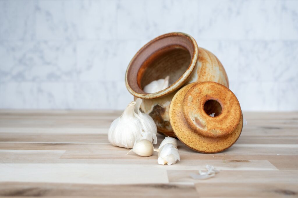 Charred Scallion, Garlic and Preserved Lemon Feta Dip - Clay Coyote